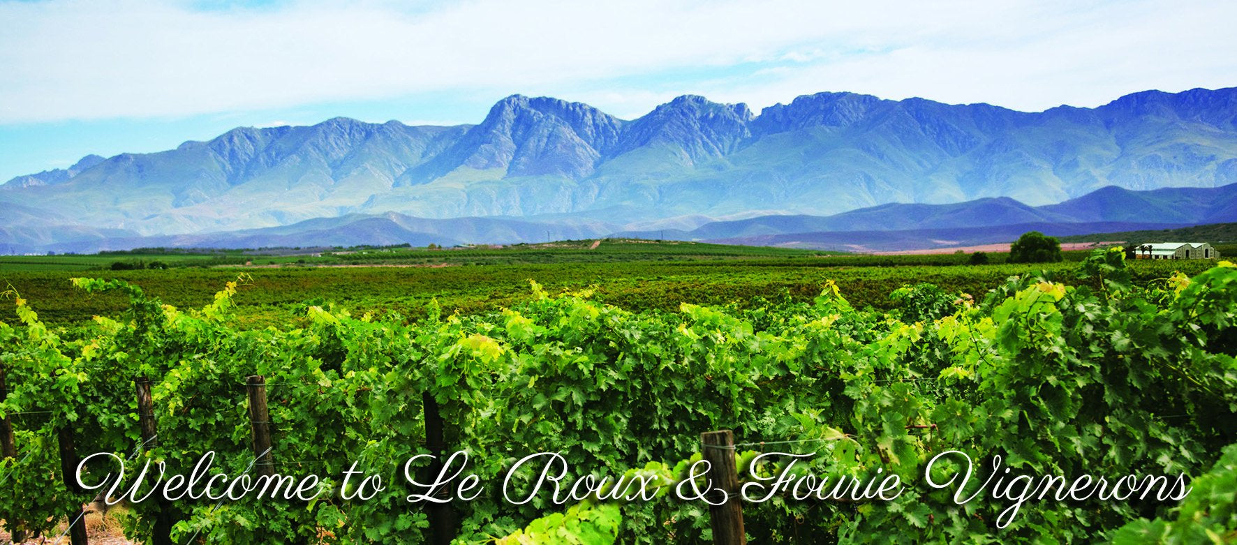 Unique Boutique Wines